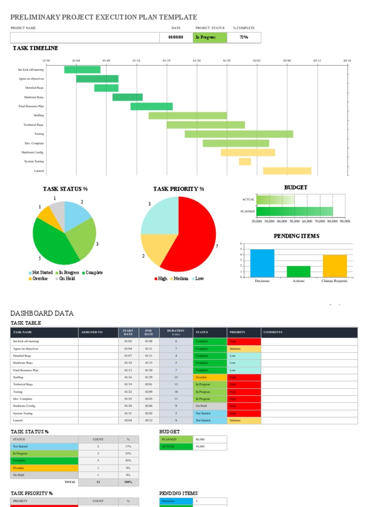 IC Preliminary Project Execution Plan 11095 | PDF | Systems Engineering | Computer Engineering