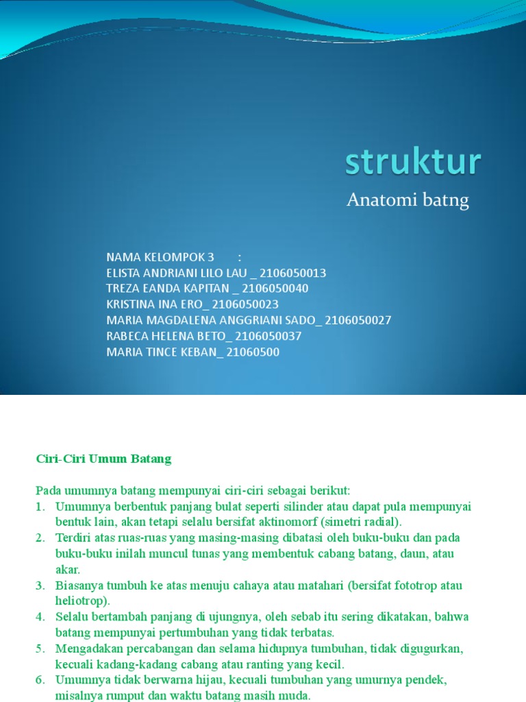 Anatomi dan Fungsi Batang Tumbuhan | PDF | Griya & Taman