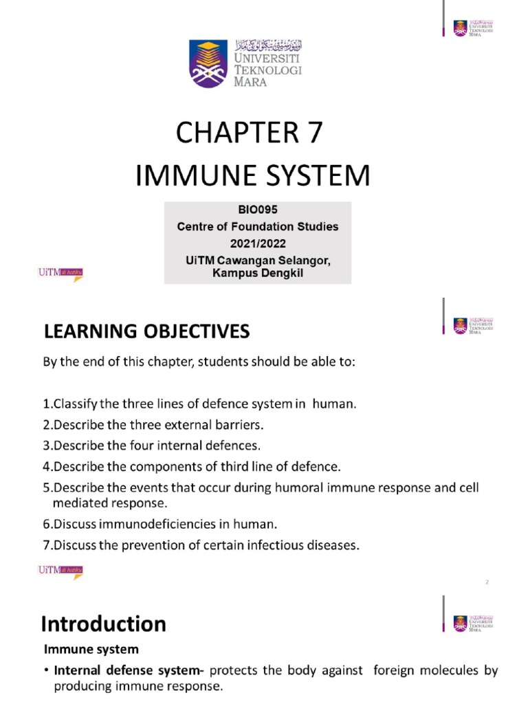 Immune System Notes | PDF