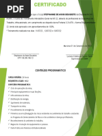 NR 11 - Modelo de Crachá | PDF