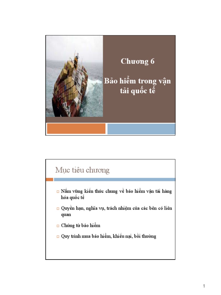 Chapt 6 BẢO HIỂM HÀNG HÓA TRONG THƯƠNG MẠI QUỐC TẾ | PDF