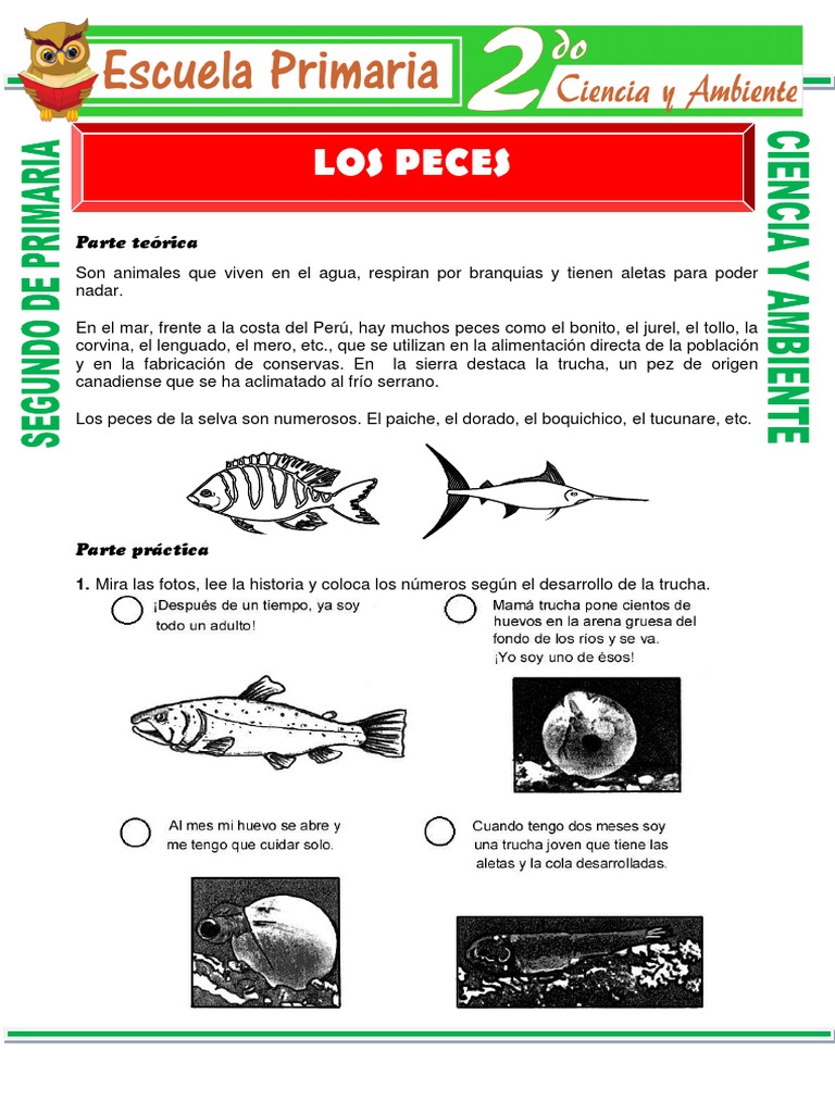 Los Peces para Segundo de Primaria | PDF | Pescado | Vertebrados