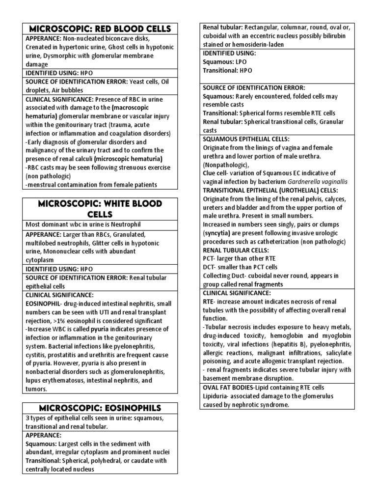 Aubf Lab Microscopic Examination Part 1 | PDF | Epithelium | Kidney