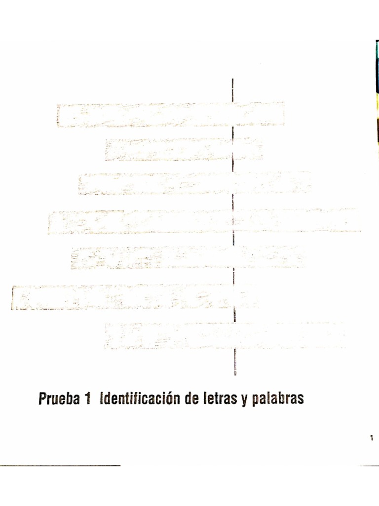 1.identificación de Letras y Palabras Evaluador | PDF