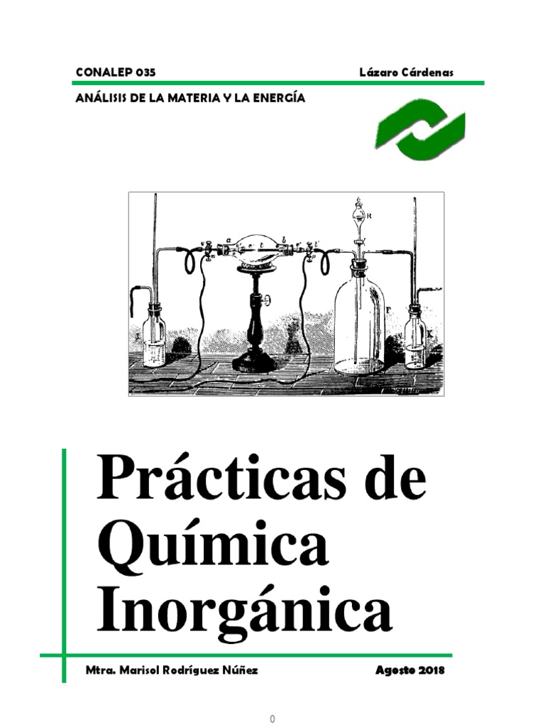 Manual de prácticas de laboratorio de química inorgánica: Normas de seguridad y reconocimiento ...