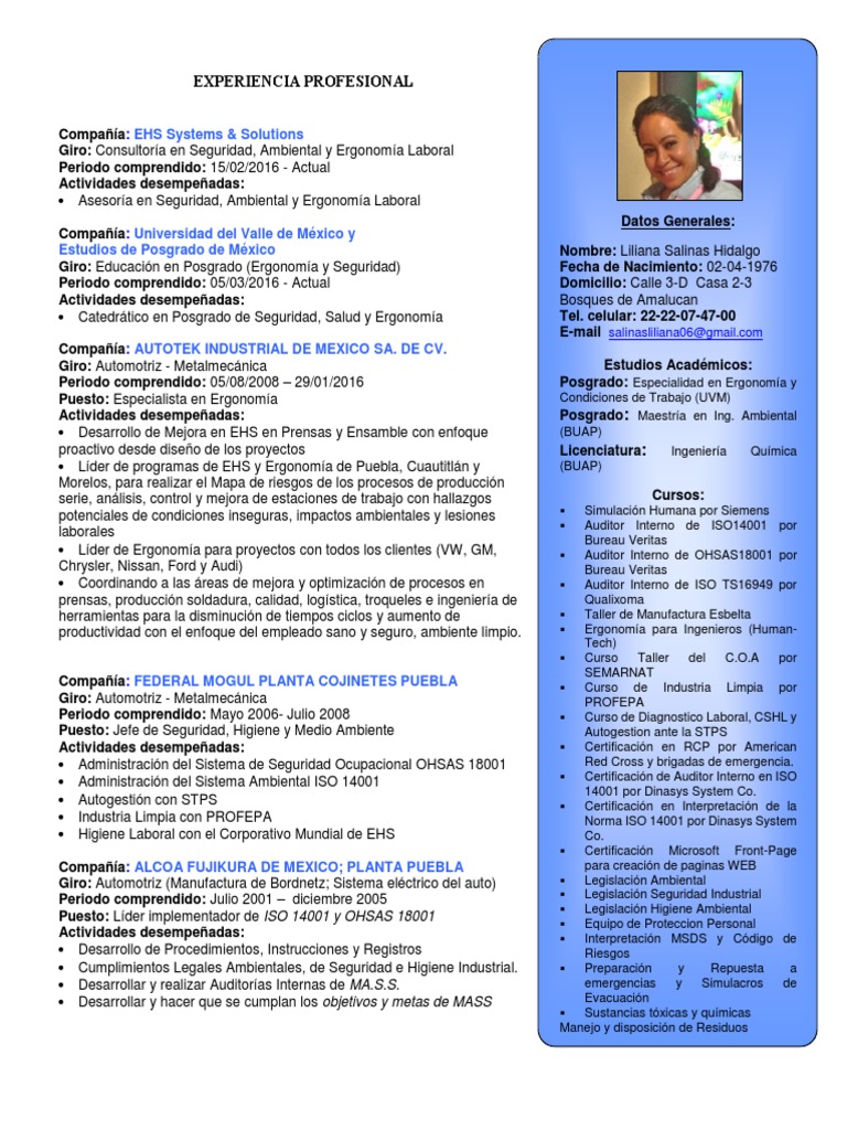 CV LSH | PDF | Business | Economias