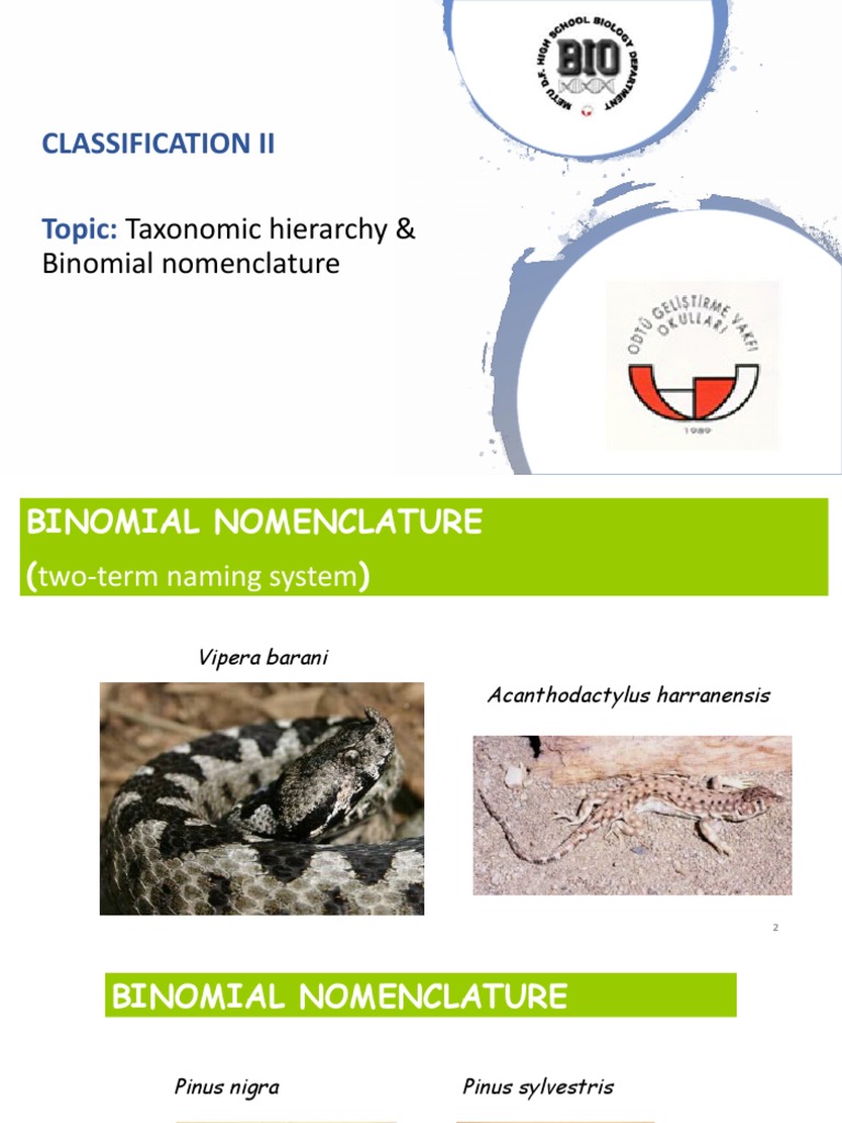 Classification II | PDF | Species | Genus