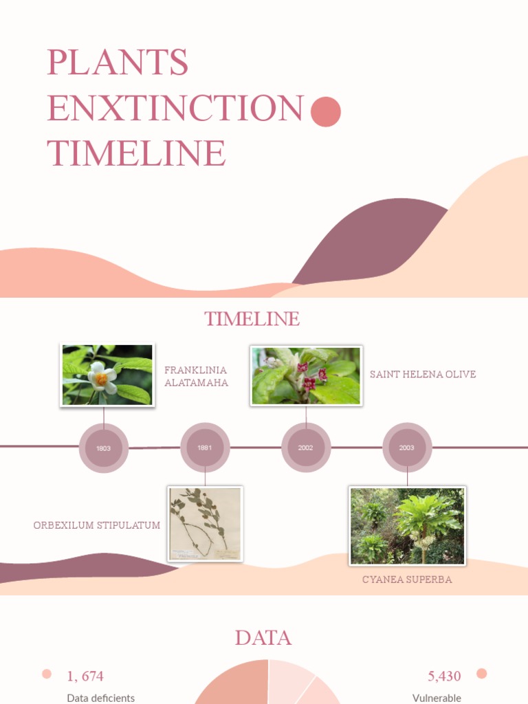 PLANTS EXTINCTION TIMELINE | PDF | Biogeography | Organisms