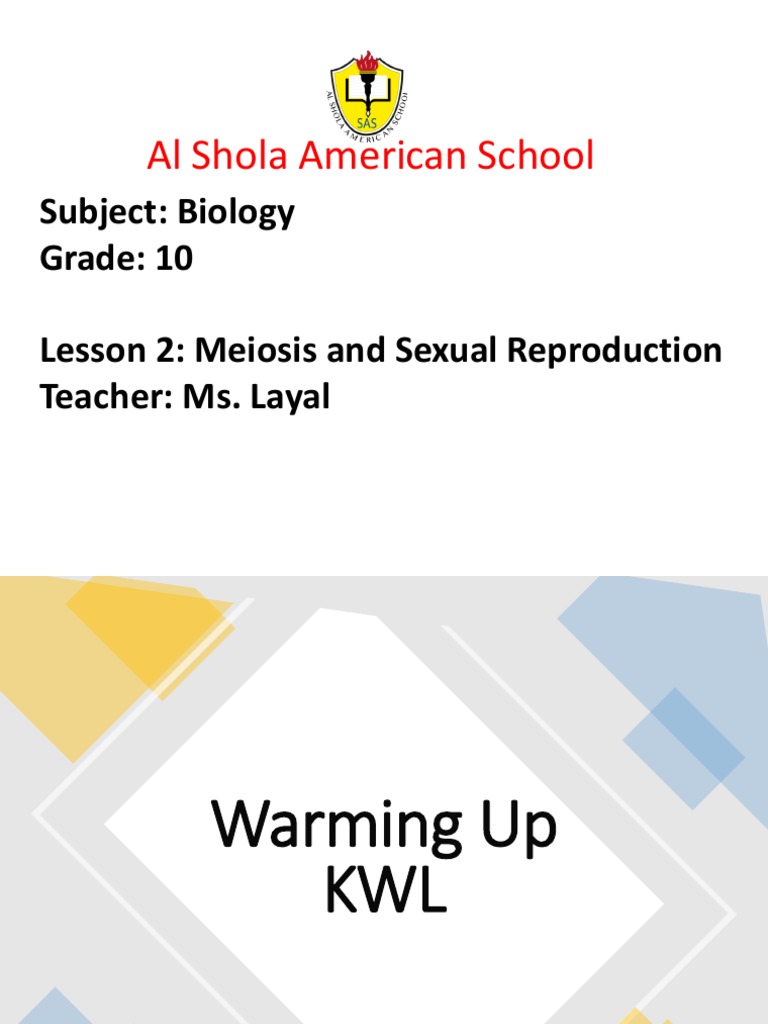 CA Lesson 2 Meiosis+and+Sexual+Reproduction | PDF | Meiosis | Chromosome