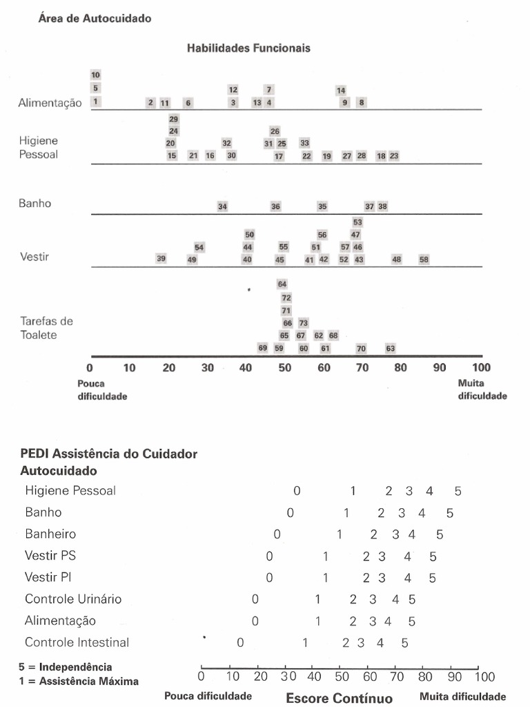 Mapas de Itens PEDI | PDF