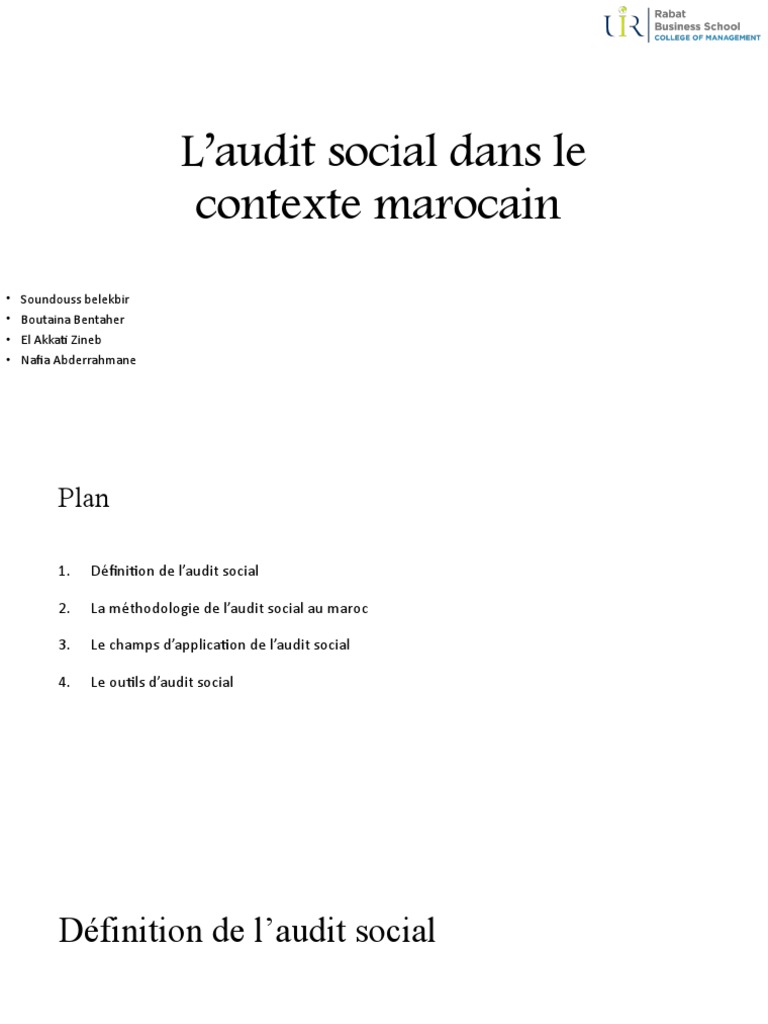 Audit Social | PDF | Audit | Business