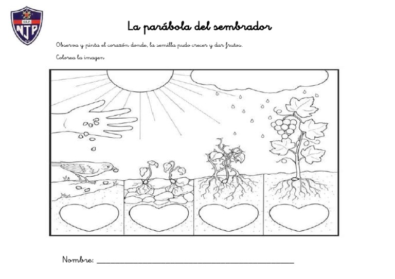 La Paràbola Del Sembrador | PDF