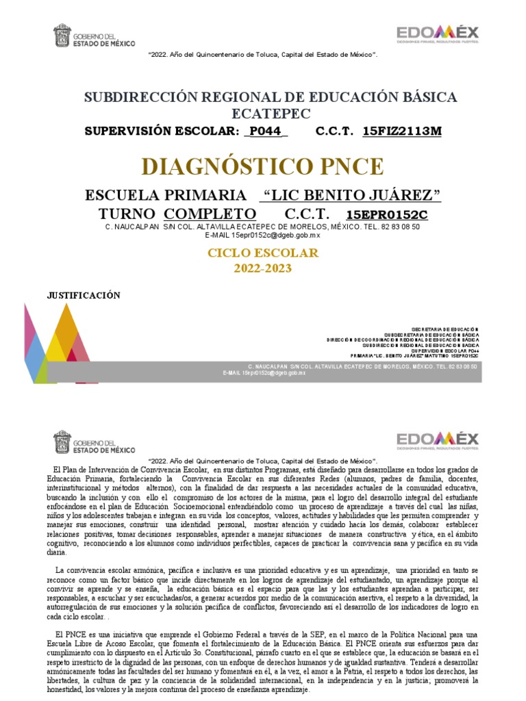Diagnostico Pnce | PDF | Educación primaria | Aprendizaje