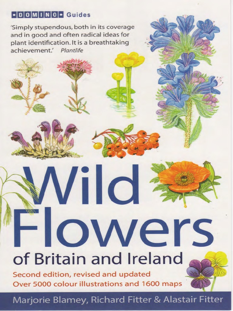 Blamey Marjorie Fitter Richard Fitter Alastair Wild Flowers | PDF