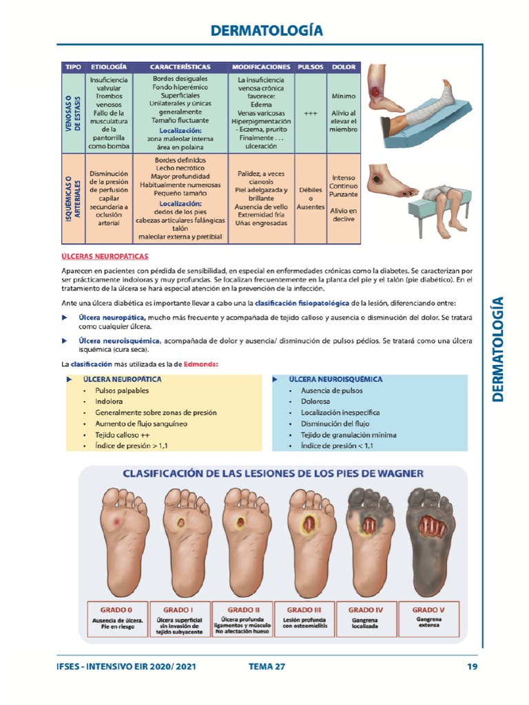 Ejemplo Manual IFSES EIR Dermatología | PDF
