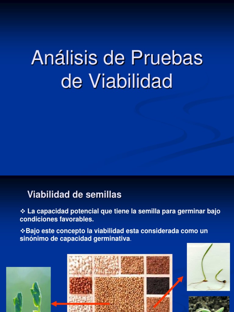 10 - Viabilidad de Semillas | PDF | Germinación | Haba de soja