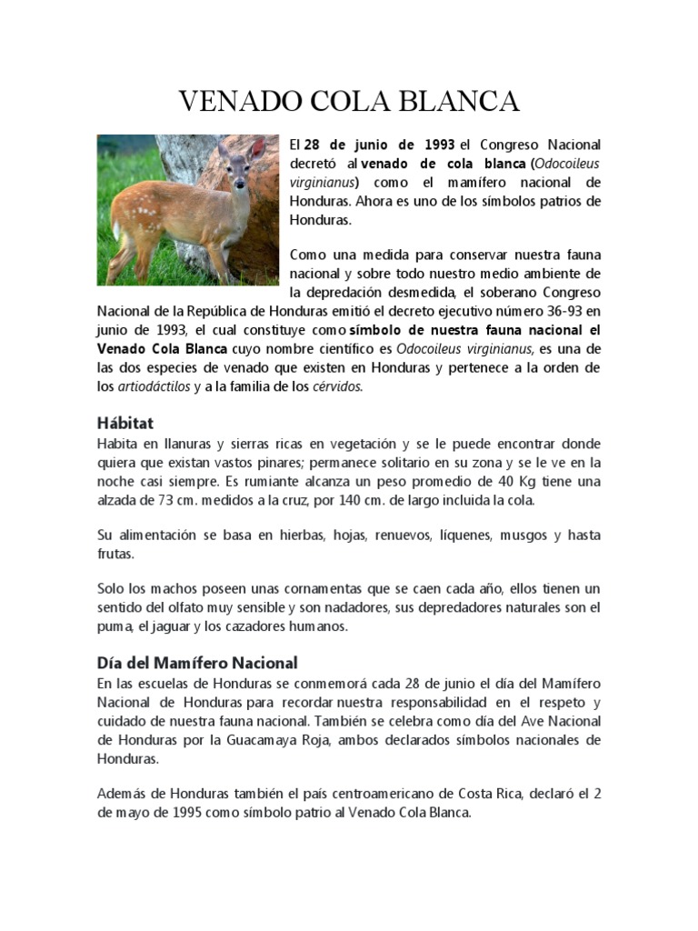 Venado Cola Blanca | PDF