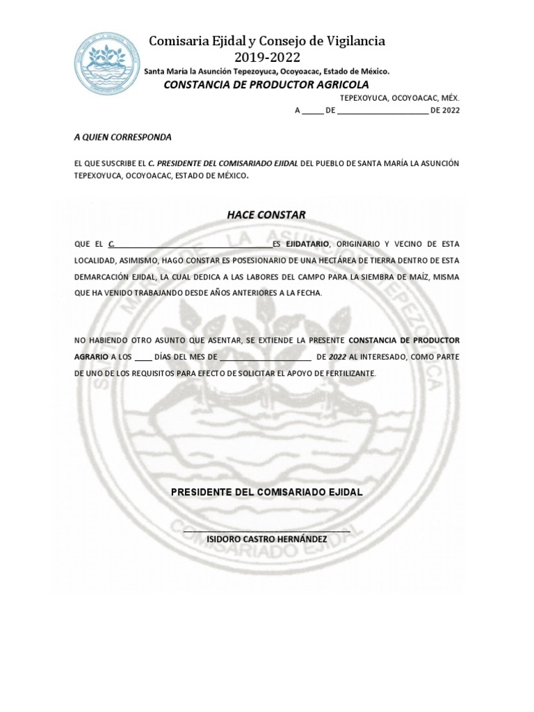 Constancia Pdf Constancia De Semanas