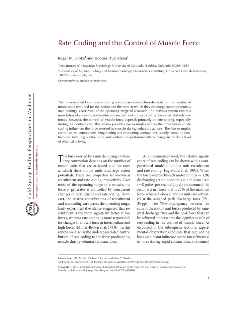 Rate Coding and The Control of Muscle Force | PDF | Muscle Contraction ...