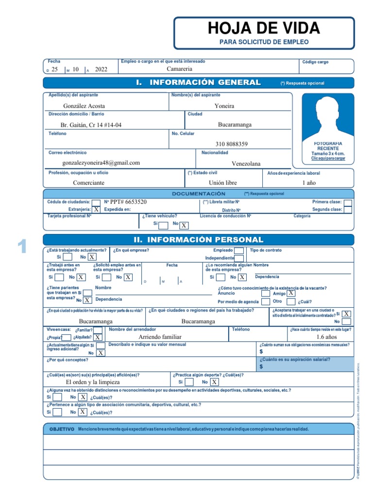 Formato Hoja de Vida Minerva 1003 | PDF | Economias