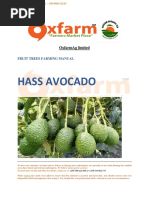 Hass Avocado Farming Guide PDF | PDF | Grafting | Avocado