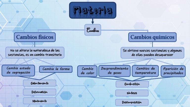 Organizador de La Materia | PDF
