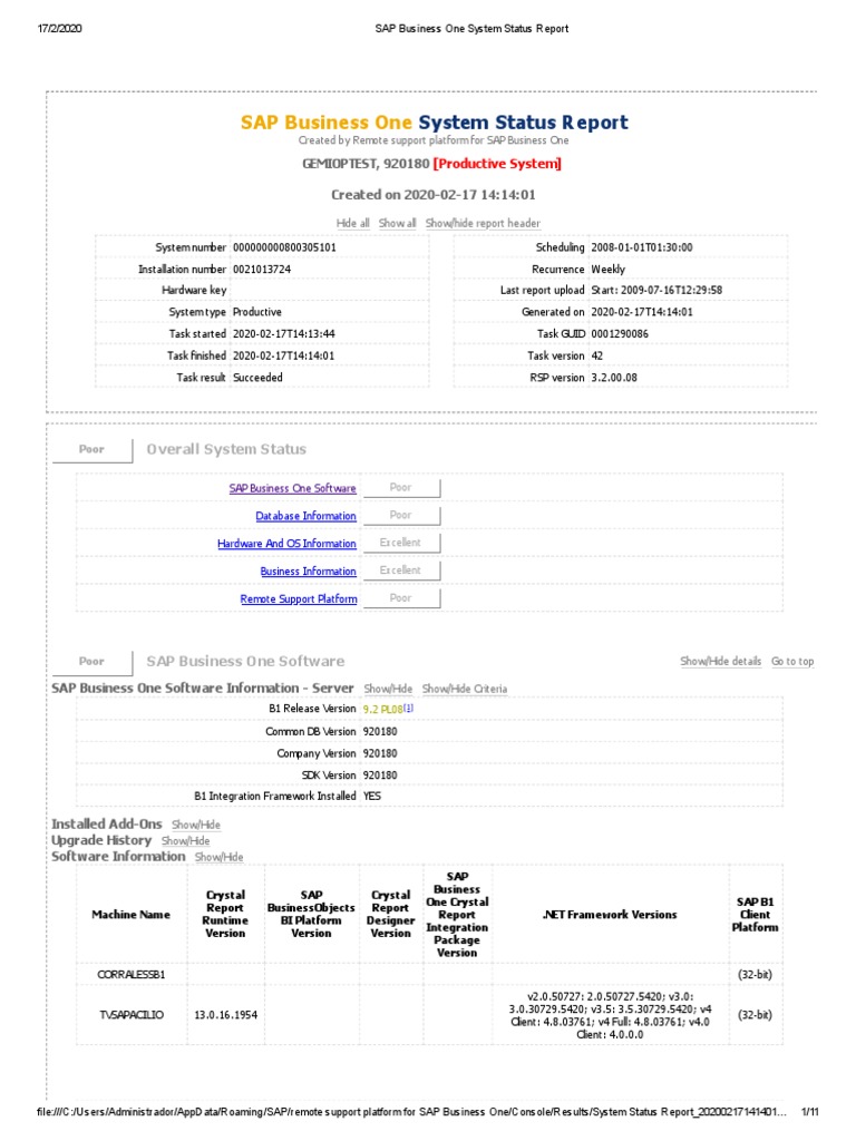 SAP Business One System Status Report | PDF | Software | Information Technology Management
