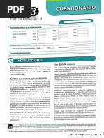 DP-3 Perfil de Desarrollo-3 CUESTIONARIO | PDF