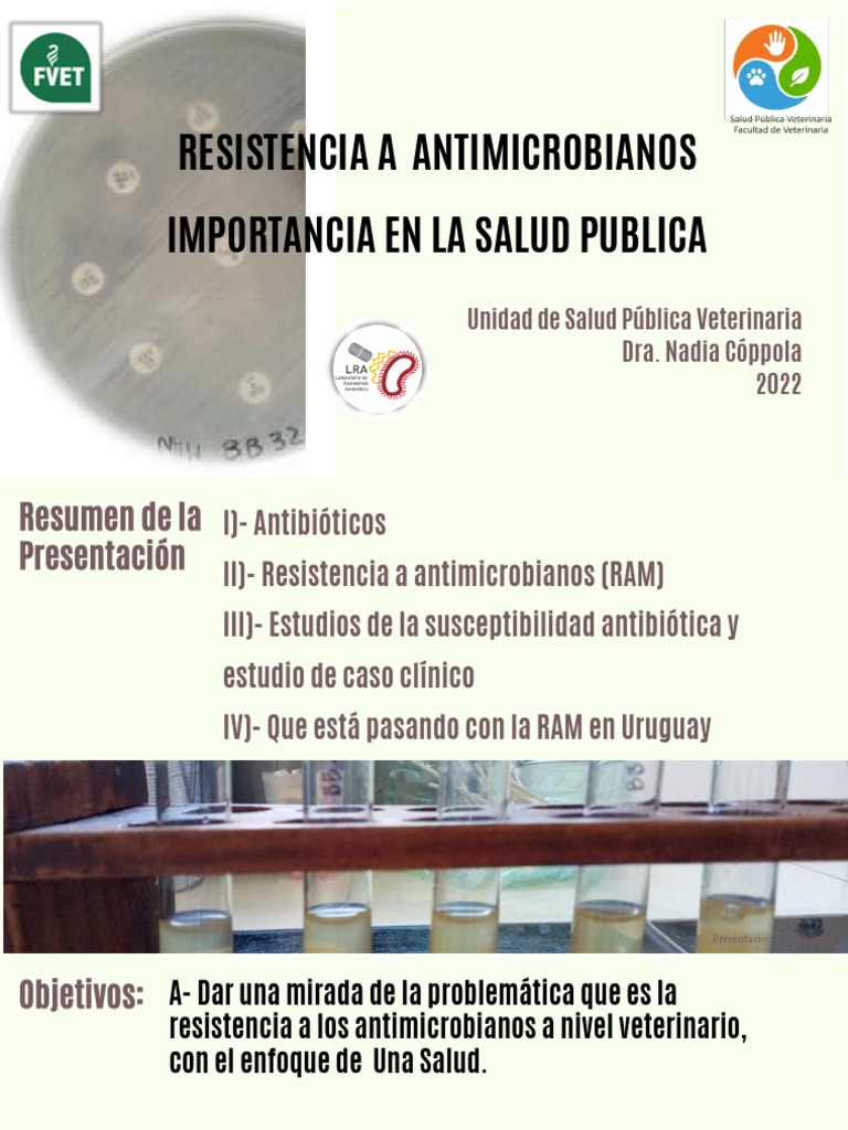 11) Resistencia Antimicrobiana | PDF | Las bacterias | Medicina CLINICA