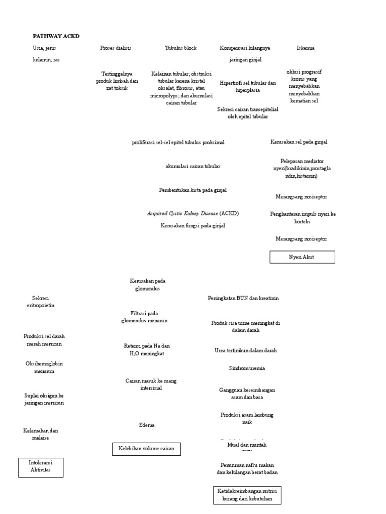 Pathway ACKD | PDF