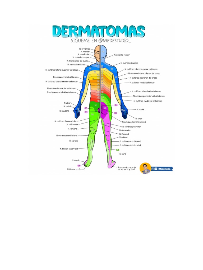 Dermatomas | PDF