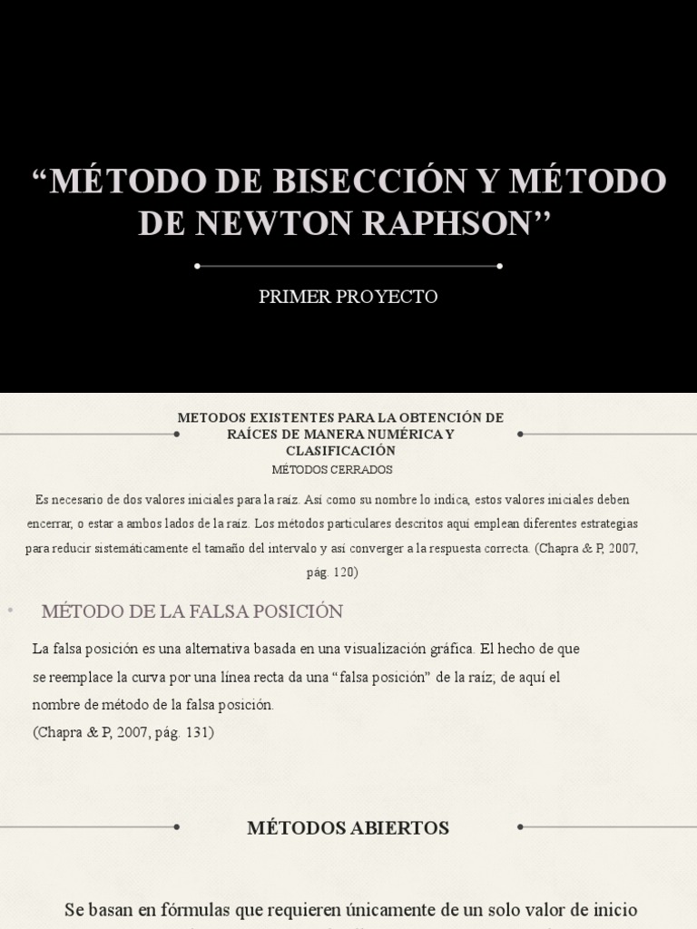 1.proyecto MN | PDF | Ecuaciones | Análisis numérico