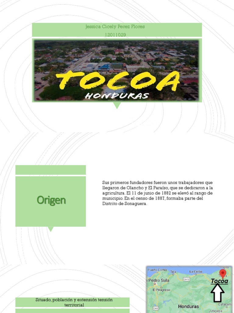 Municipio de Tocoa | PDF | Alimentos | Comida y bebida