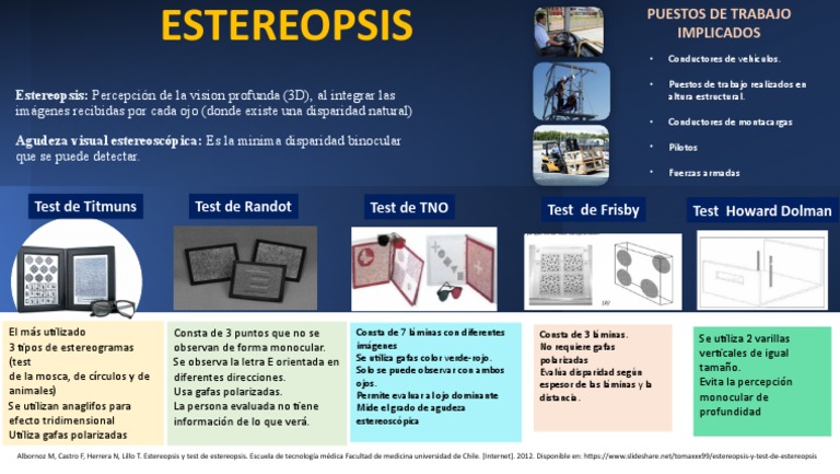 ESTEREOPSIS | PDF | Ciencia cognitiva | Sentidos