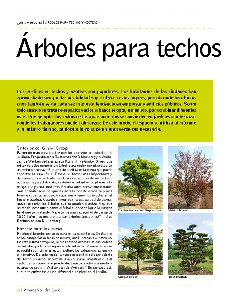 Árboles para techos y azoteas: guía práctica | PDF | Arboles | Agua
