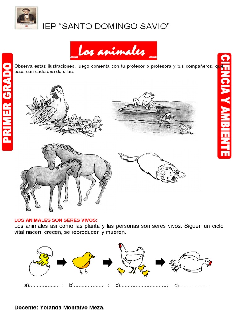 Ciclo de Vida de los Animales para Niños | PDF | Huevo | Mamíferos