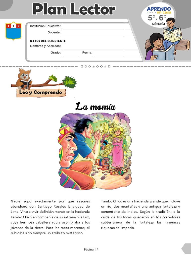 EXP9 Sem 28 PLAN LECTOR LITERAL | PDF