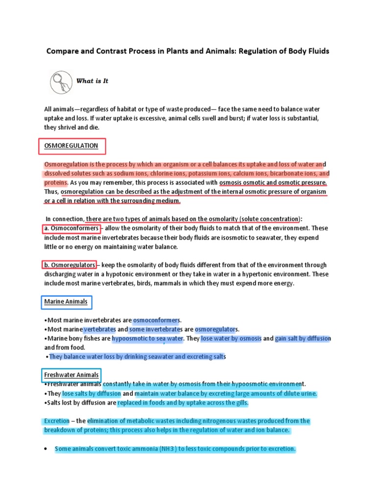 Regulation of Body Fluids | PDF | Kidney | Excretion