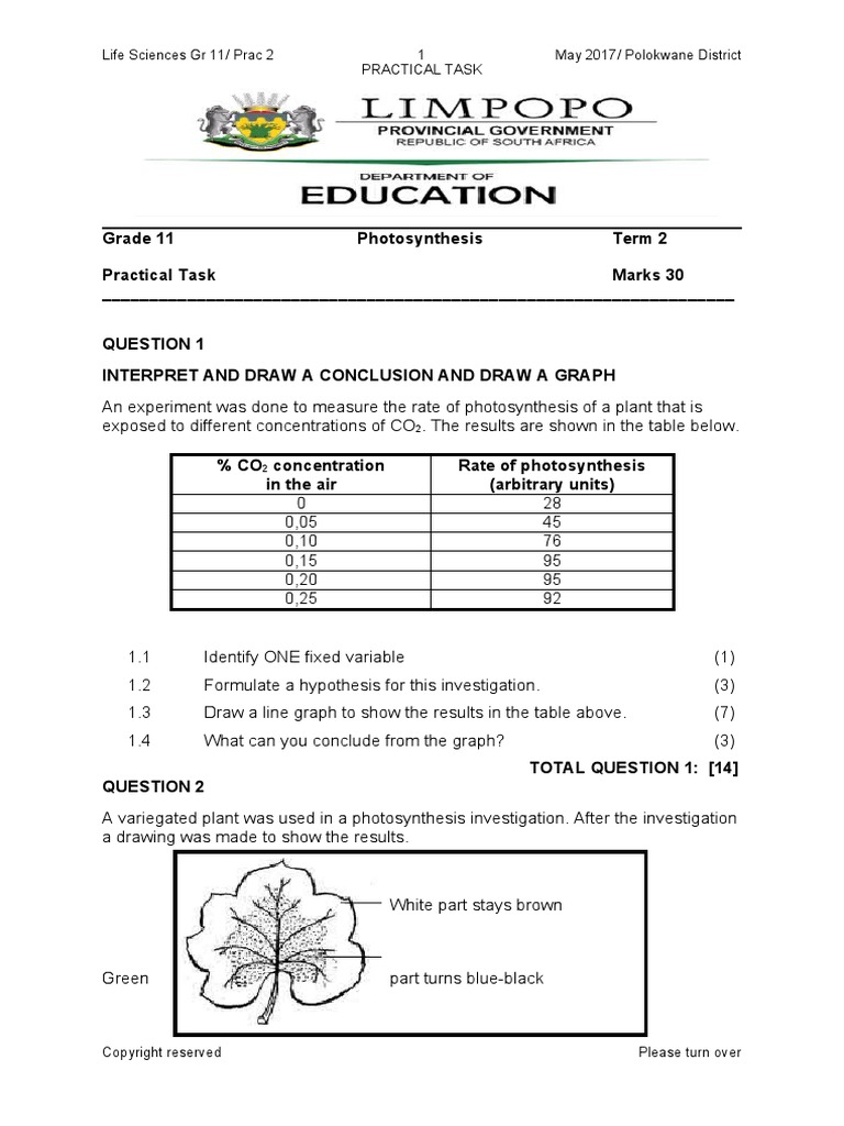 Life Sciences Practical Task 2 Grade 11 2017 | PDF | Photosynthesis ...