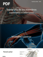 Marcas Óseas o Detalles y Formaciones Óseas | PDF | Viajes y turismo ...