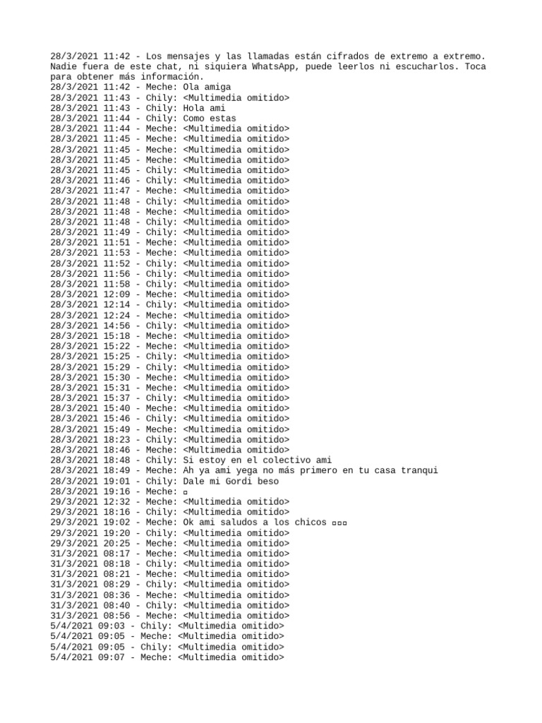 Chat de WhatsApp Con Meche | PDF