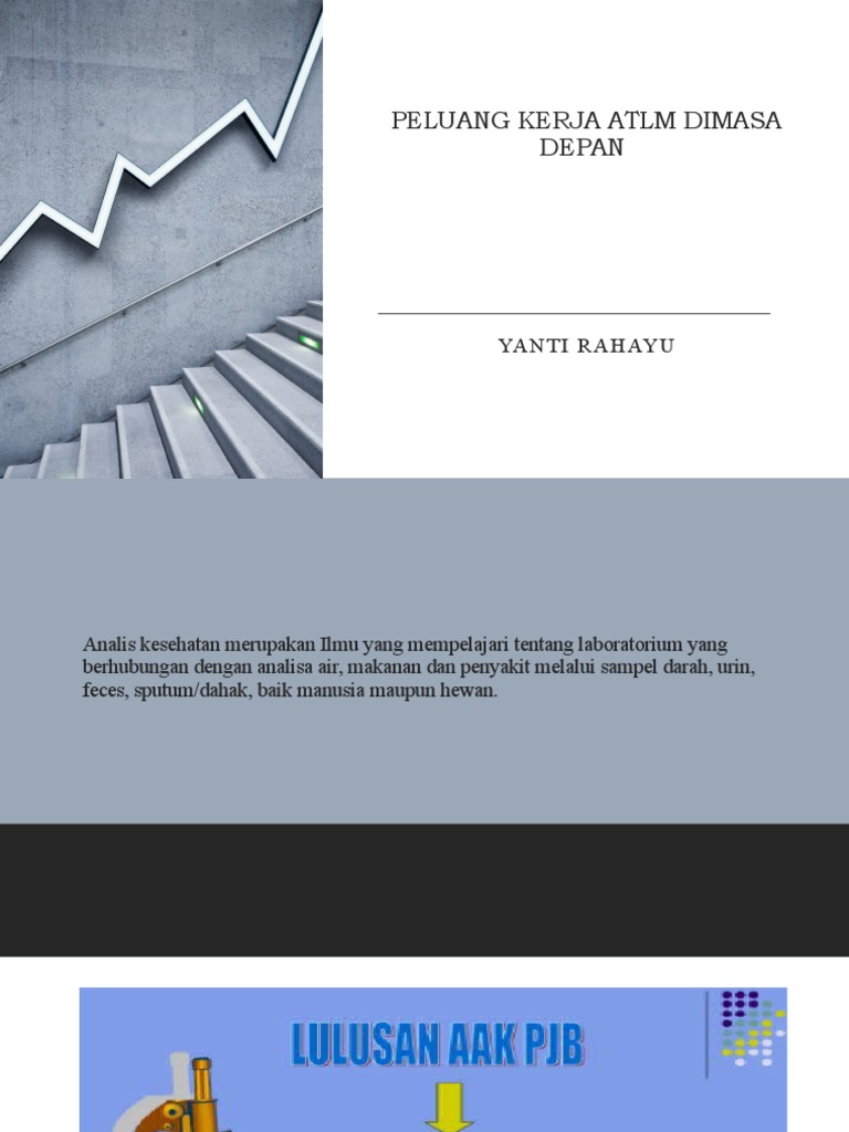 Pertemuan 6 Peluang Kerja Atlm Dimasa Depan | PDF