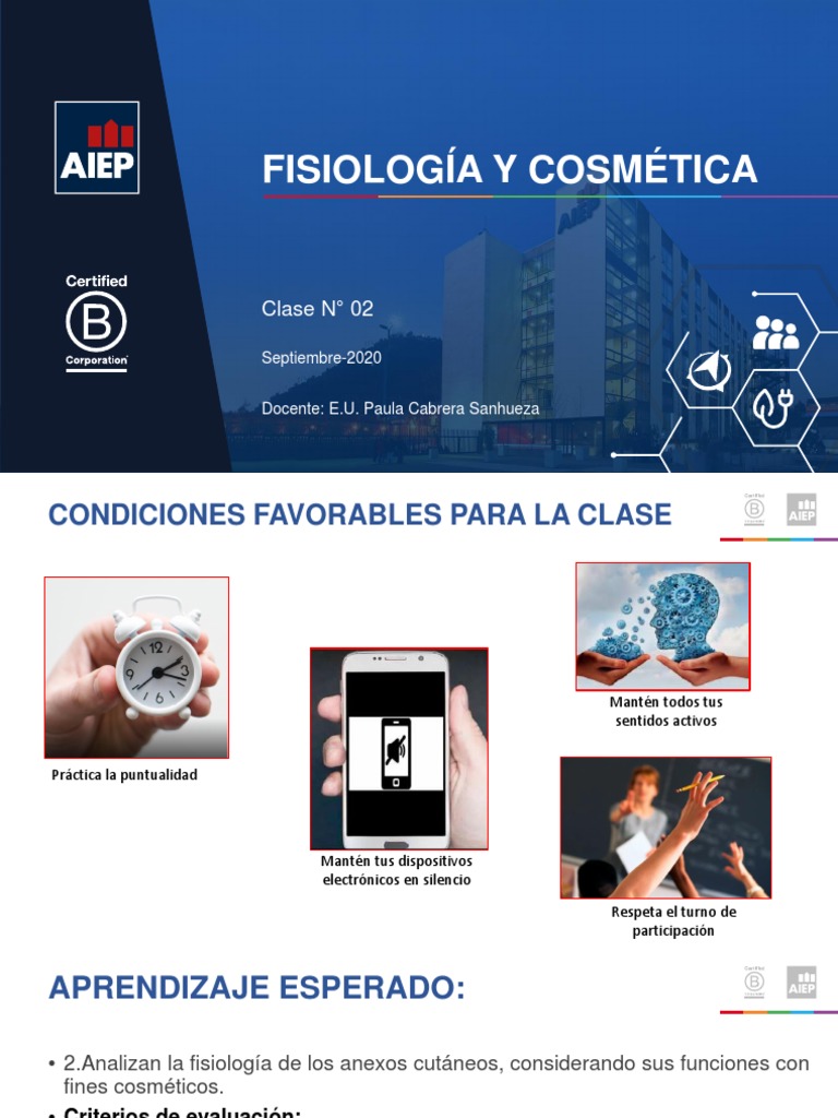 FCO - Clase 2.1 Anexos Cutaneos | PDF | Pelo | Piel