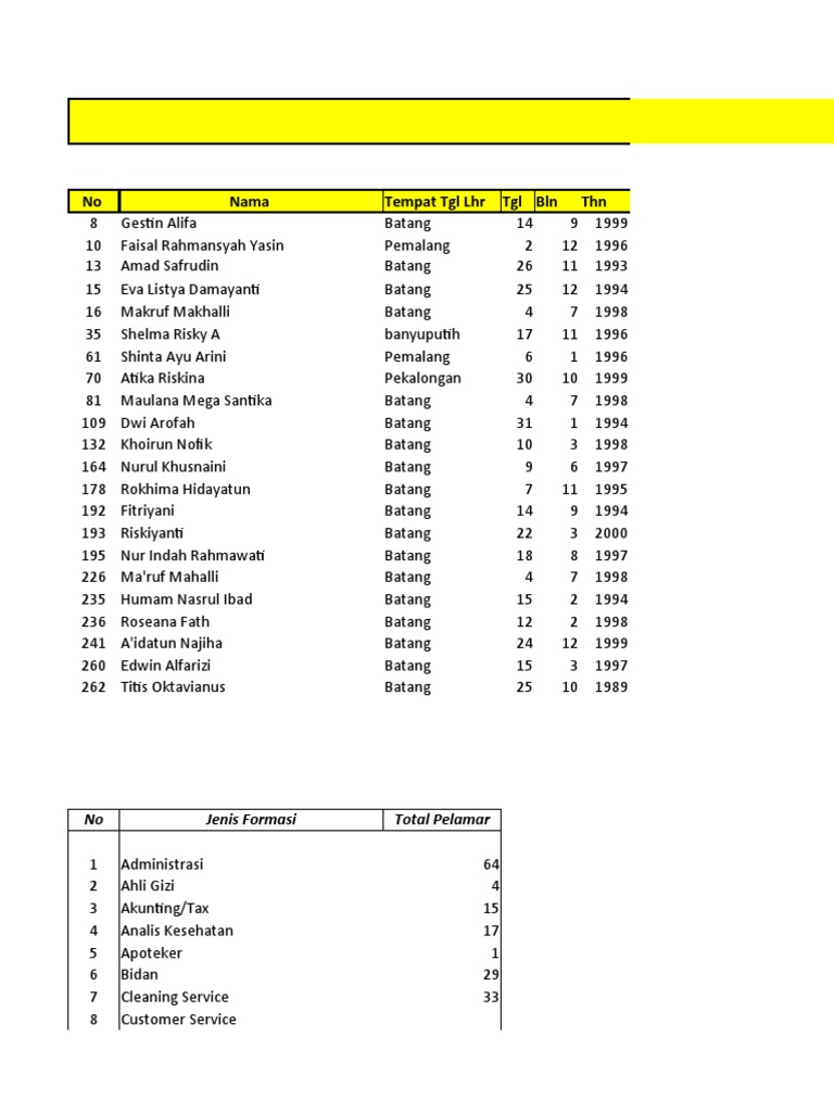 Data Calon Pelamar RSNU BAITUSSYIFA (AutoRecovered) | PDF