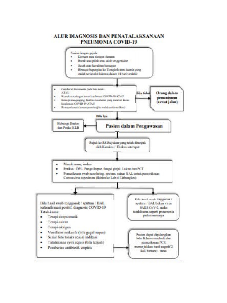 Alur Diagnosa Pneumonia COVID 19 | PDF