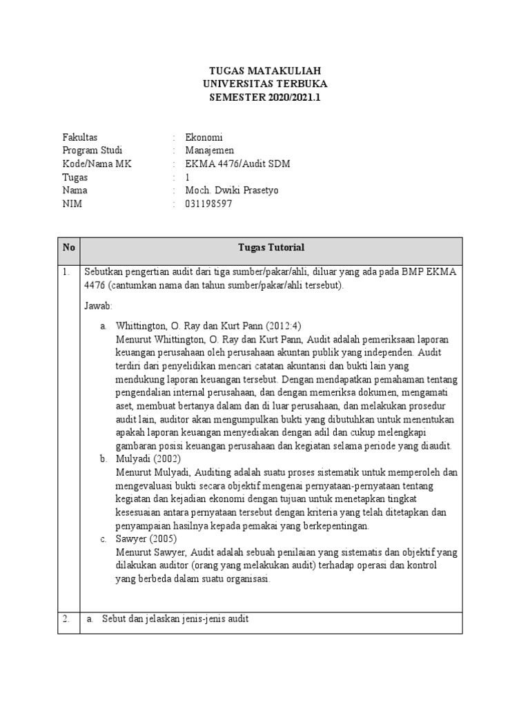 Tugas 1 - Audit SDM | PDF