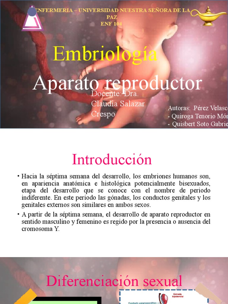 Aparato Reproductor | PDF | Sistema reproductivo | Testículo