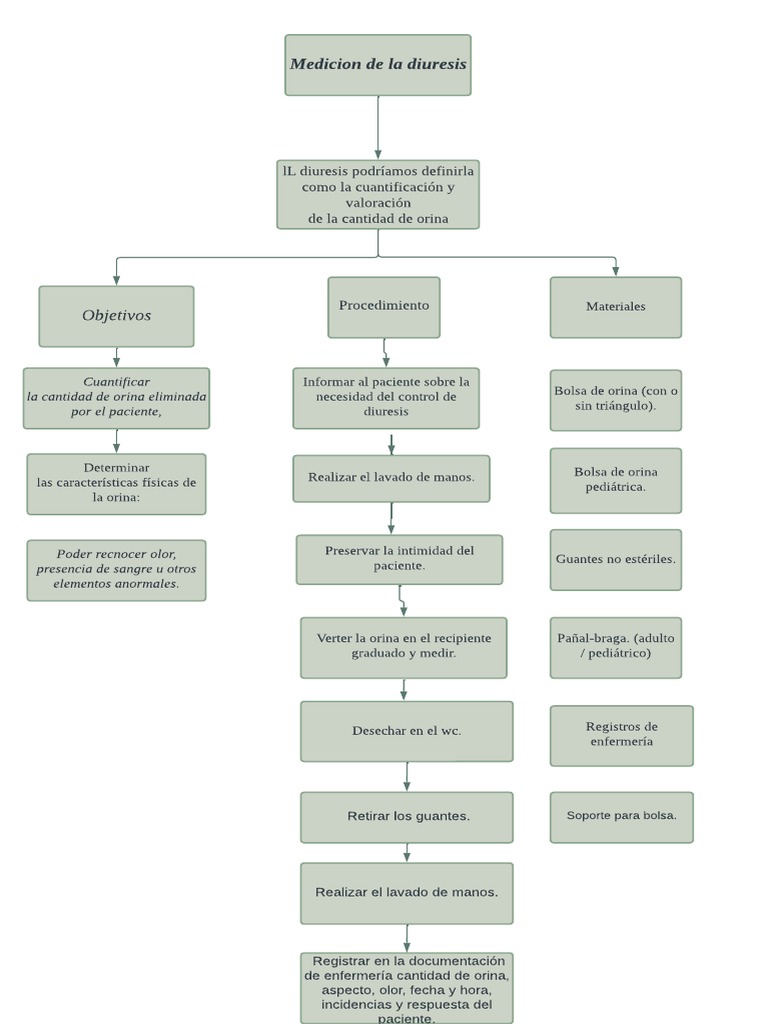 Diuresis | PDF