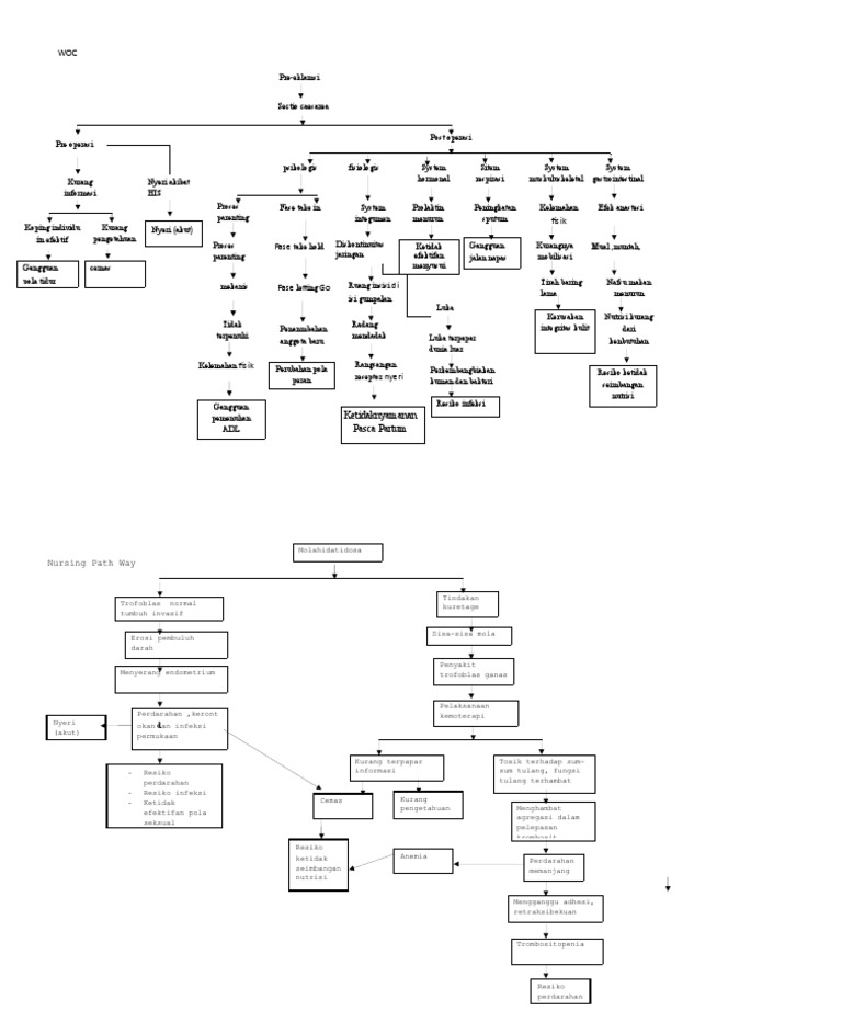 Pathway Pasca Operasi Sectio Caesarea | PDF