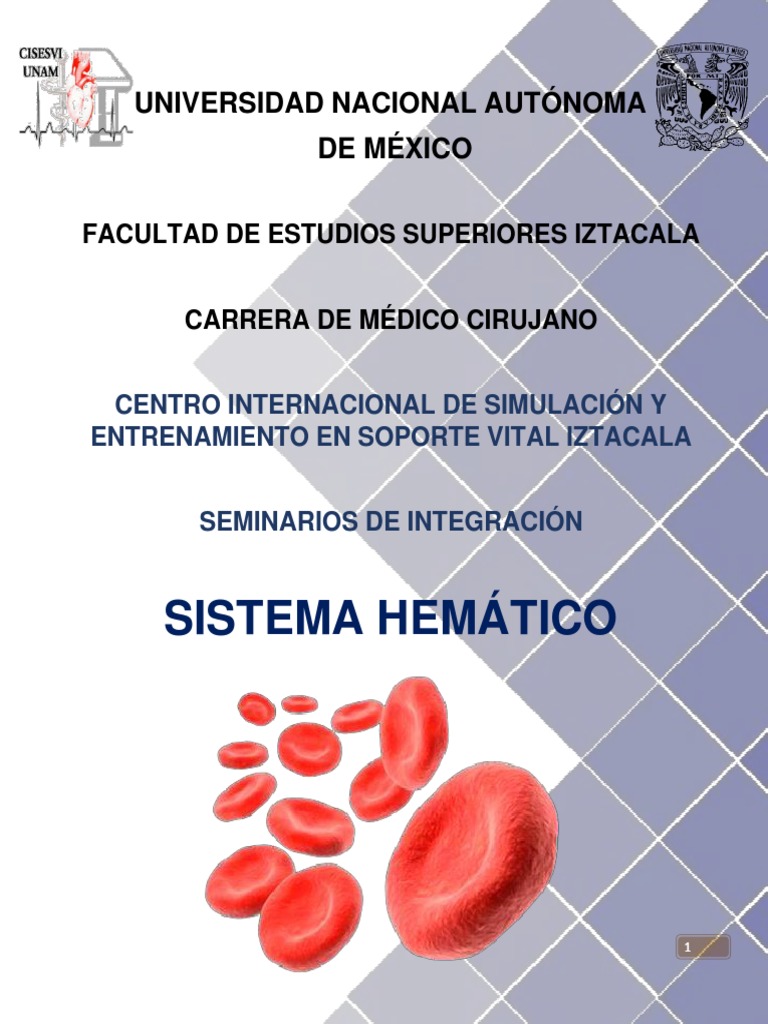 Morfofisiología Sistema Hemático | PDF | Sangre | Hematopoyesis
